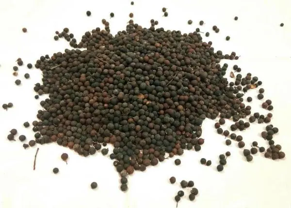 BrijBooti Vaividang - Bai Bidang - Vidanga - Embelia Ribes - False ...