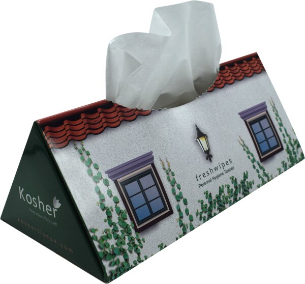 Kosher Castle Pyramid Facial Tissue Box, Pack of 5, 2 Ply, 50 Pulls ...
