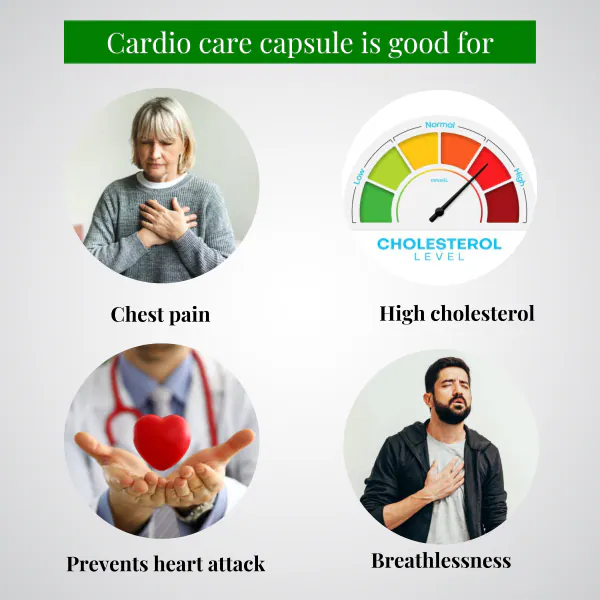 MBDH WELLNESS Cardio Care Capsules: A complete solution for your heart ...