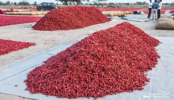 Pure Pik Mathania Red Chilli Whole, Lal Mirch Sabut, Stemless, 100 G ...