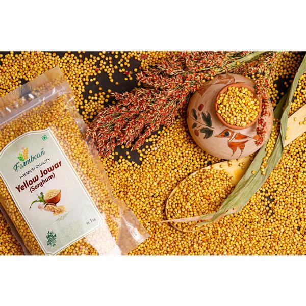 Farmbean Whole Yellow Jowar Grains 8 KG / Sorghum / Jonna For Weight ...