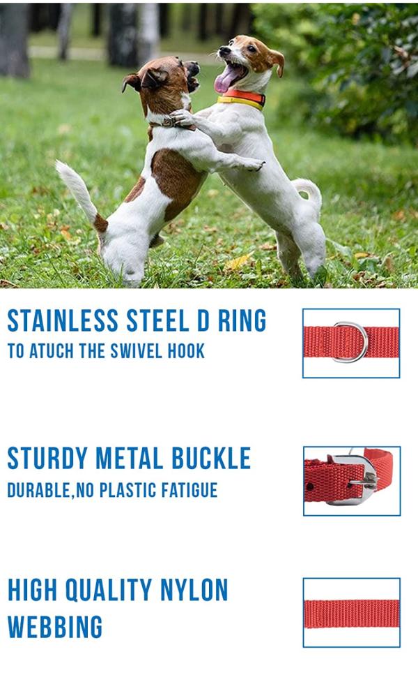 FURRY TAILS Dog Neck Collar Belts and Leash Set, Adjustable Free Neck ...