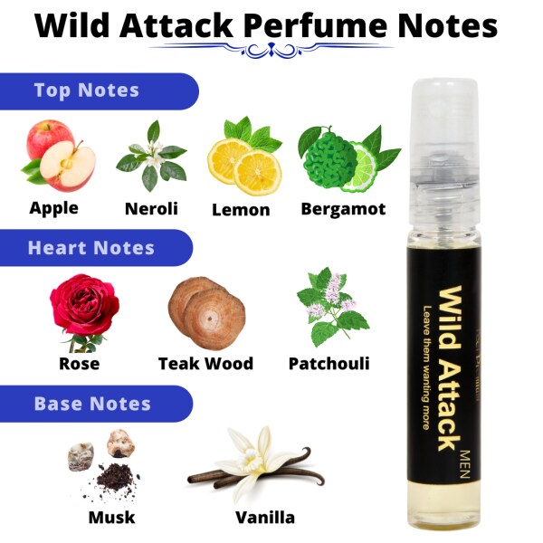 Europa Products WILD ATTACK & TOO Pocket Perfume Spray for Men| Attar ...