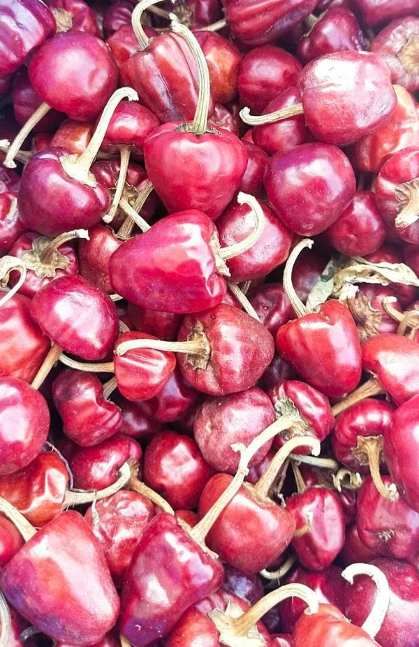 Mundu Chilli 500G - JioMart