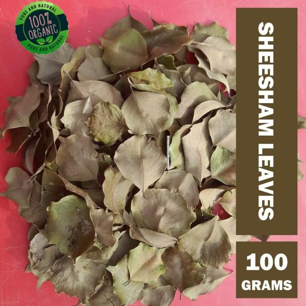 Homeda Sheesham Leaves Dry (100 g), Shisham Leaf, Sisam, Sissoo ...