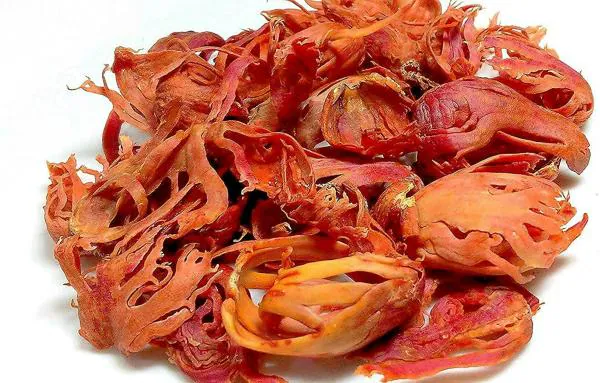 BrijBooti Javitri Spices Whole - Japatri - Mace Whole Spice - Javitri ...