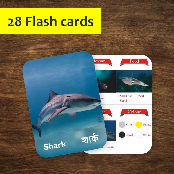 Clapjoy Multicolor Double Sided Flash Cards For Kids -Sea Creatures ...