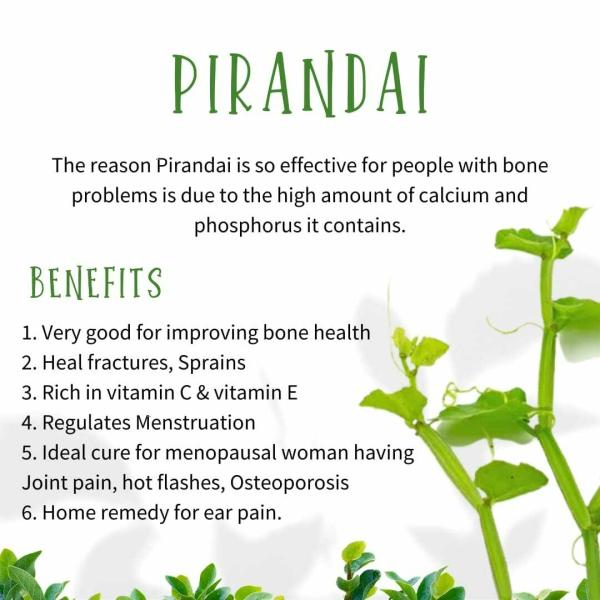 HayyFoods Pirandai Idli Dosa Podi (Cissus quadrangularis/ Veld Grape ...