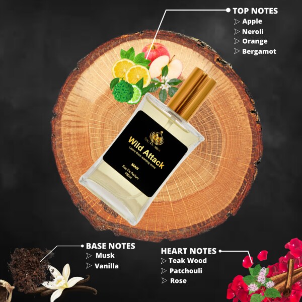 Europa Products WILD ATTACK Perfume Spray For MAN (Gift Pack)| Attar ...