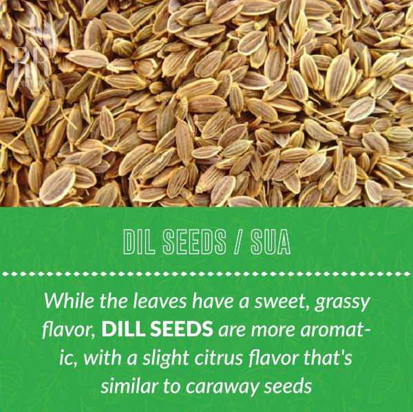 RR AGRO FOODS Premium SUA Seeds,(Dill Seeds / Shata pushpa/ Saluka ...