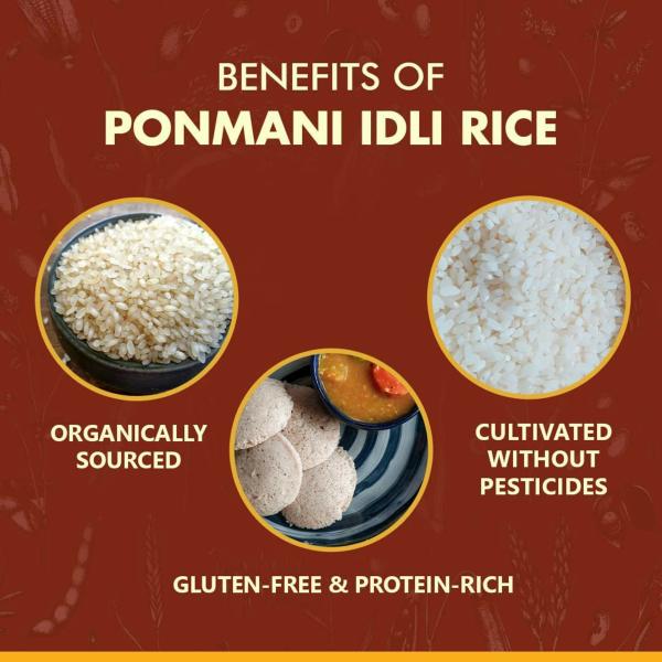 Bio Basics Ponmani Idli Rice - 1 kg - JioMart