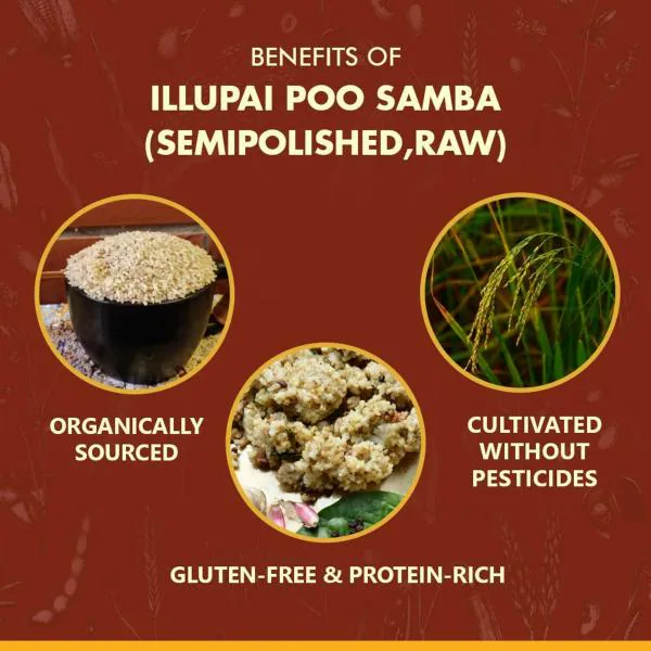 Bio Basics Illupai Poo Samba Rice - 1 kg - JioMart