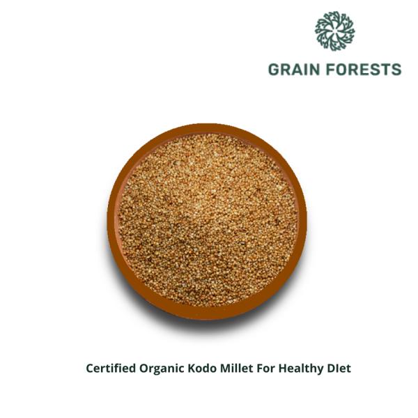 Grain Forests Organic Kodo Millet 500gm| Low Gi Kodo Millet Rice(Kodo ...