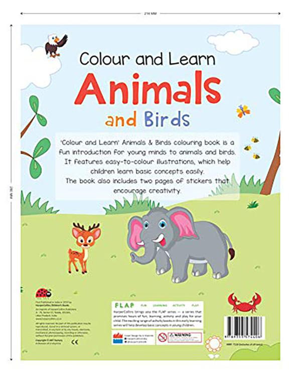 Flap - Colour And Learn - Animals And Birds Flap Books Paperback 24 ...