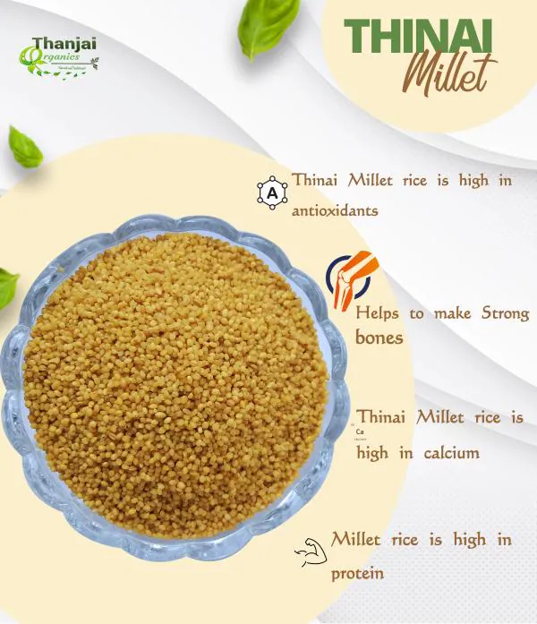 Thanjai Organics Foxtail Millet 10 kg| Thinai Rice | Kangni | Thina ...