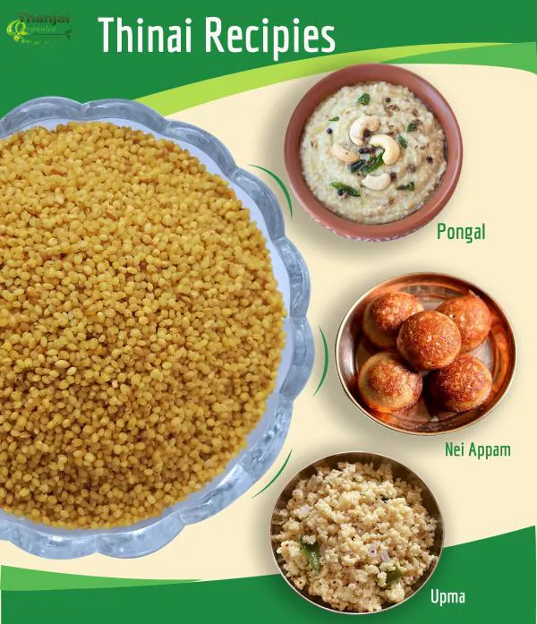 Thanjai Organics Foxtail Millet 10 kg| Thinai Rice | Kangni | Thina ...