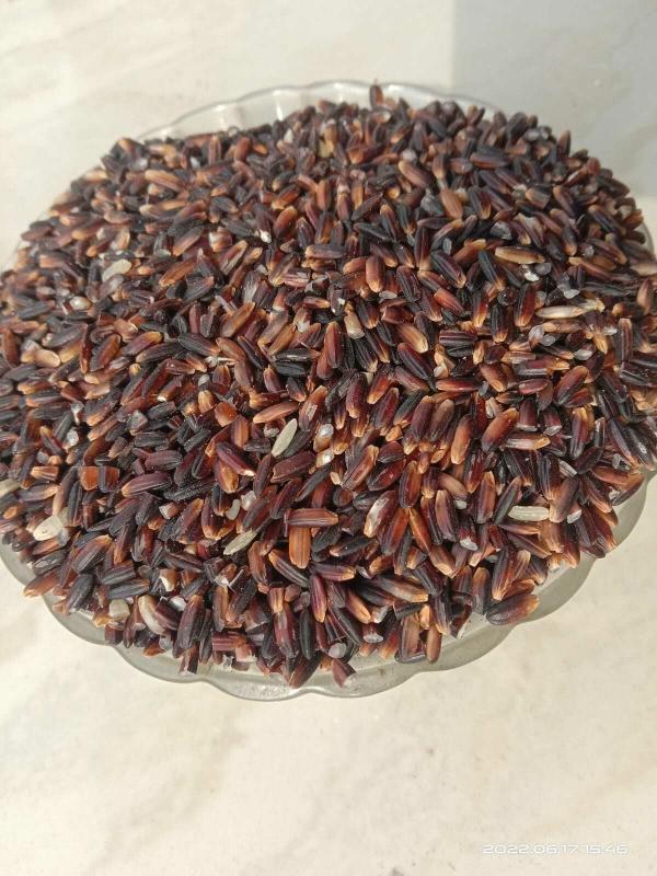 Uzhavan Unavu - Organic Traditional Black Rice / Karupu Kavuni rice ...