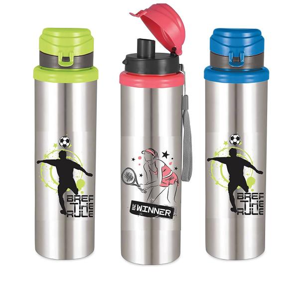 Fable Multicolor Stainless Steel Flask Bottle 650 Milliliters (Pack of 3) - JioMart