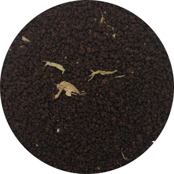 Ginni Elaichi Tea | Made With Real Spices | Cardamom Tea | Kadak Tea ...