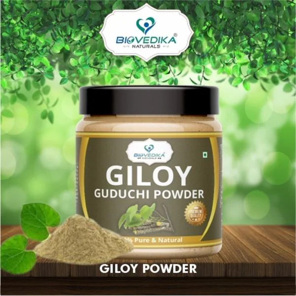Giloy Powder - JioMart