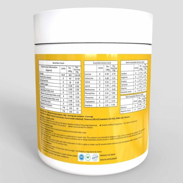 Pro360 Gold Whey Chocolate flavored Protein Powder Supplements 250 g ...
