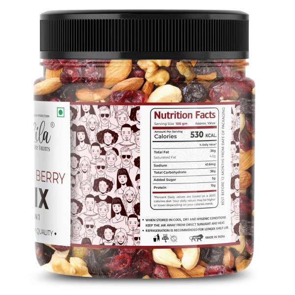 LILA DRY FRUITS Natural Premium Seed Berry Mix(Pumpkin, Sunflower, Flax ...