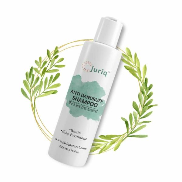Juriq Anti Dandruff Shampoo with Tea Tree & Zinc Python | Shampoo for ...
