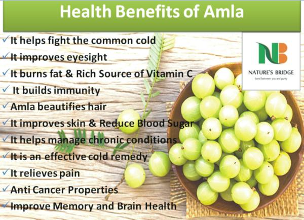 Nature's Bridge Amla | Sweet Amla Candy | Dry Amla Candy I Indian ...