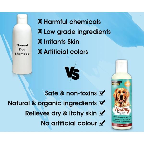 Boltz Dog Shampoo For Healthy Shiny Coat Aloe Vera Lavender And Jojoba ...