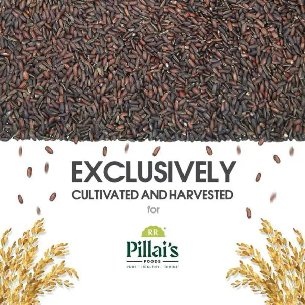 Rr Pillai's Traditional Kattuyanam Hand Pounded Rice, 5 Kg (Pack Of 1 ...