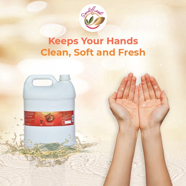 SOULFRESH Liquid Soap Protection from germs & soft on hands Germfighter ...