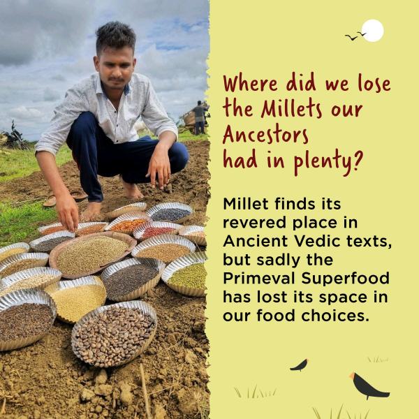 Two Brothers Organic Farms Amaranth Millet 1 KG - JioMart