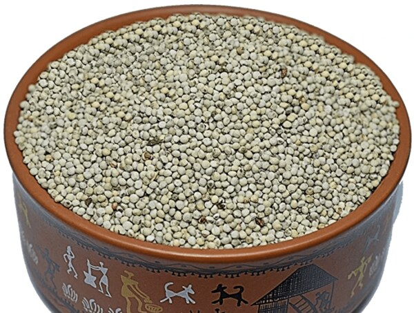 Myor Pahad's Exotic Super Food Perilla frutescens Seeds ( Bhangeera ...