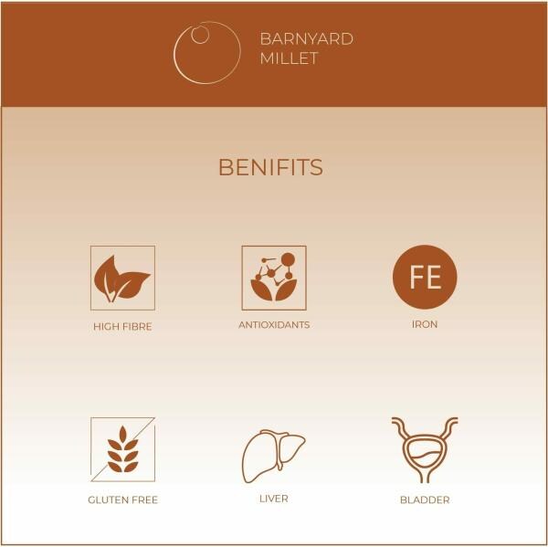 The Millet Company Unpolished Barnyard Millet 900g - JioMart