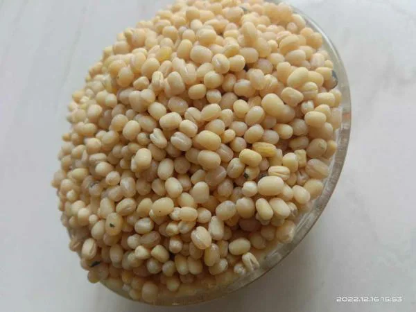 Uzhavan Unavu - Ulutham Paruppu | White Urad Dal | Saphed Udad Kee Daal ...