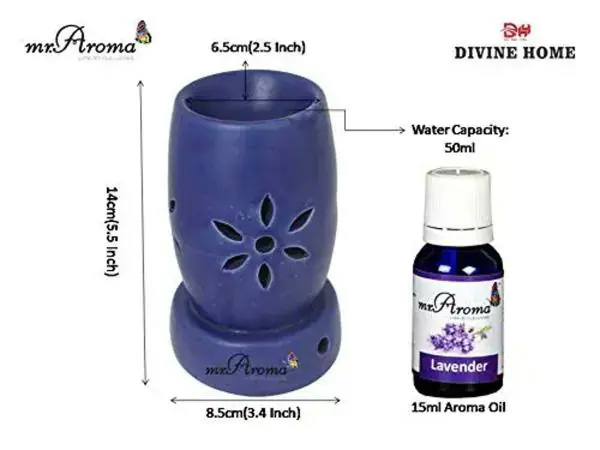 Divine Home Blue Ceramic Electric Oil Diffuser with Aroma Oil (Pack Of ...