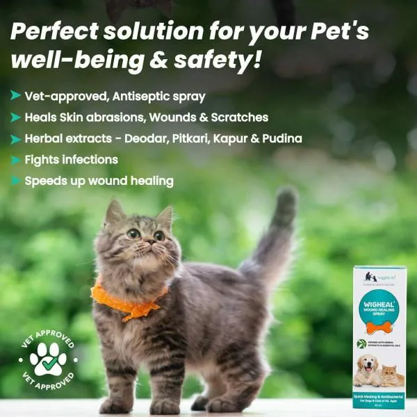 How To Treat Dog Wounds Naturally