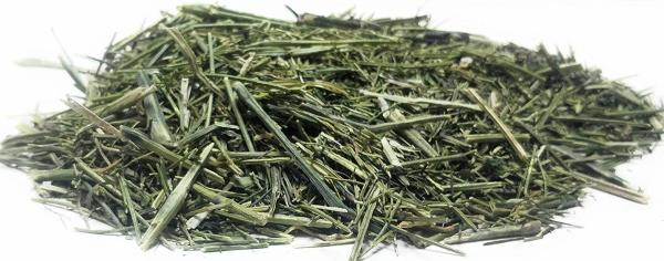 Ayushiv CHIRAYATA (Swertia) - KALMEGH - HARA CHIRAYATA - GREEN ...