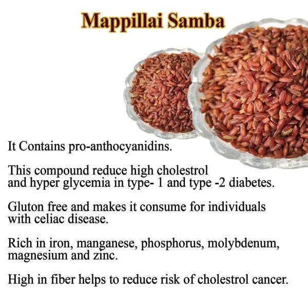 Thanjai Organics Mappillai Samba Rice 500 g | Hand Pounded Mappillai ...