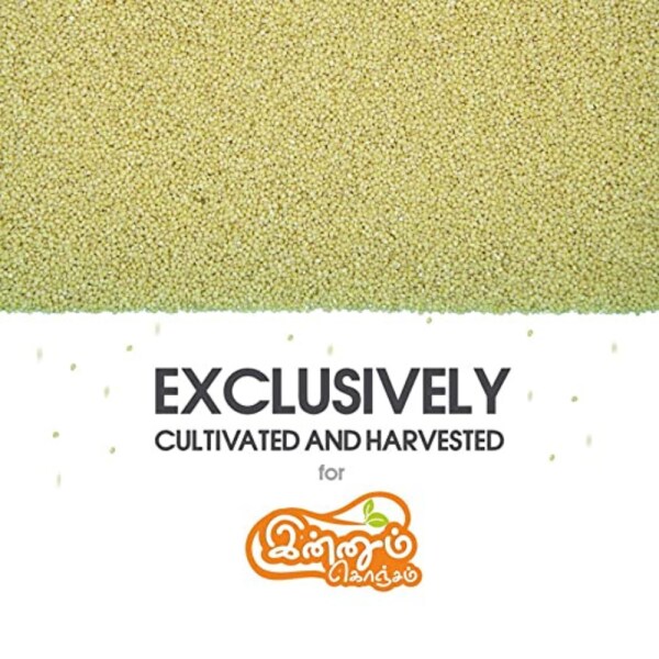 INNUM KONJAM - Foxtail Millet - 1Kg ( Thinai Rice |Korra | Kangni ...