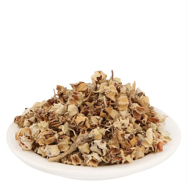 YUVIKA Aak ka Phool - Aakh Phool - Madar - Calotropis Procera (400 ...