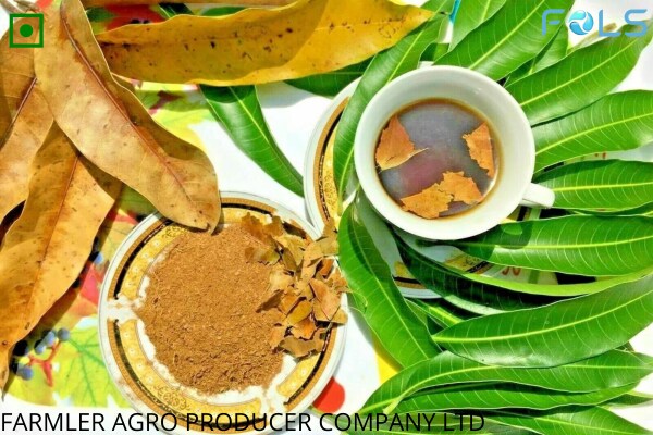FOLS MANGO LEAVES POWDER | HEALTH & BEAUTY | 250 GM - JioMart