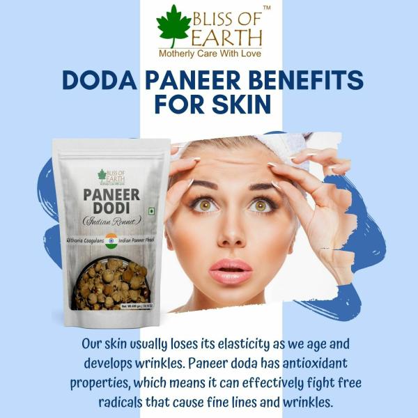 Bliss of Earth Paneer Doda (Indian Rennet) Paneer Phool for Diabetes ...