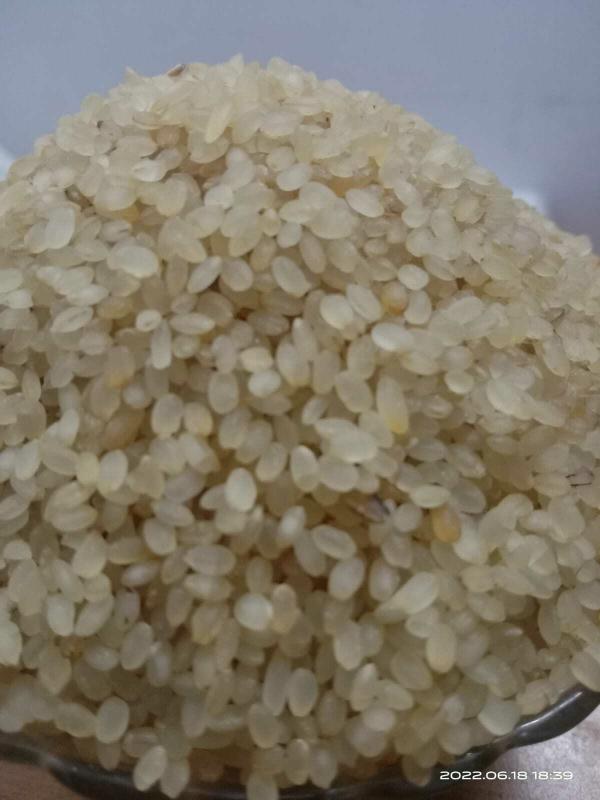 Uzhavan Unavu - Organic Traditional Milagu Samba (Common name as White ...