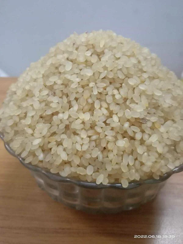 Uzhavan Unavu - Organic Traditional Milagu Samba (Common name as White ...