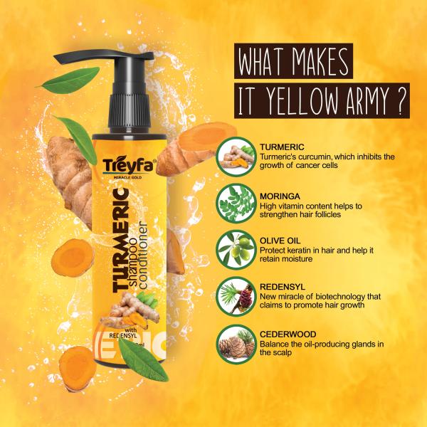 Treyfa Turmeric 2 in 1 Shampoo Conditioner For Hair Growth, Dandruff ...