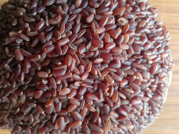 Uzhavan Unavu - Organic Traditional Kullakar Rice (Common name as Red ...