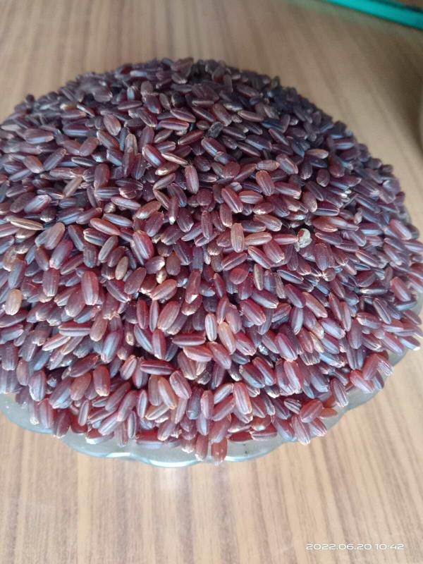 Uzhavan Unavu - Organic Traditional Kullakar Rice (Common name as Red ...
