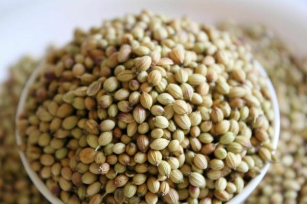 Rayappas Coriander Seeds ( 1 Kg ) ( Dhania, Naatu malli ) - JioMart