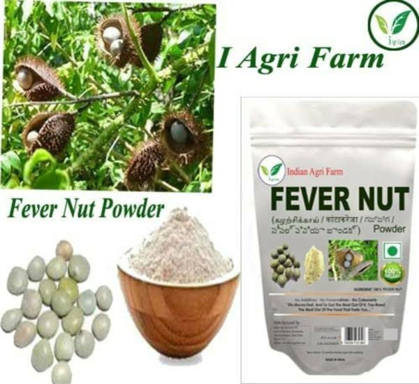 Iagri farm/Kalarchikai/Kantkarej/Kalanchi/Gachakaya/Fever Nut Powder ...